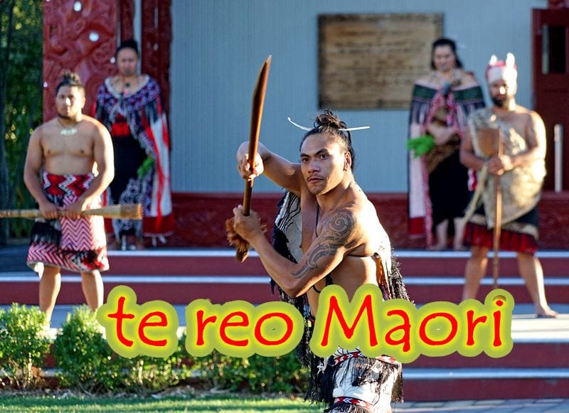 什么是 Te Reo Māori ？-看新西兰