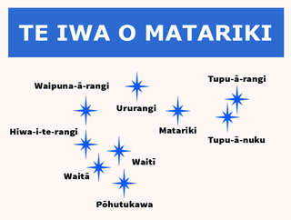 马塔瑞基九颗星 Te Iwa o Matariki-看新西兰